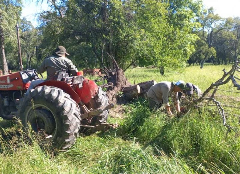La Municipalidad de Pampa del Indio colabora con el Parque Provincial