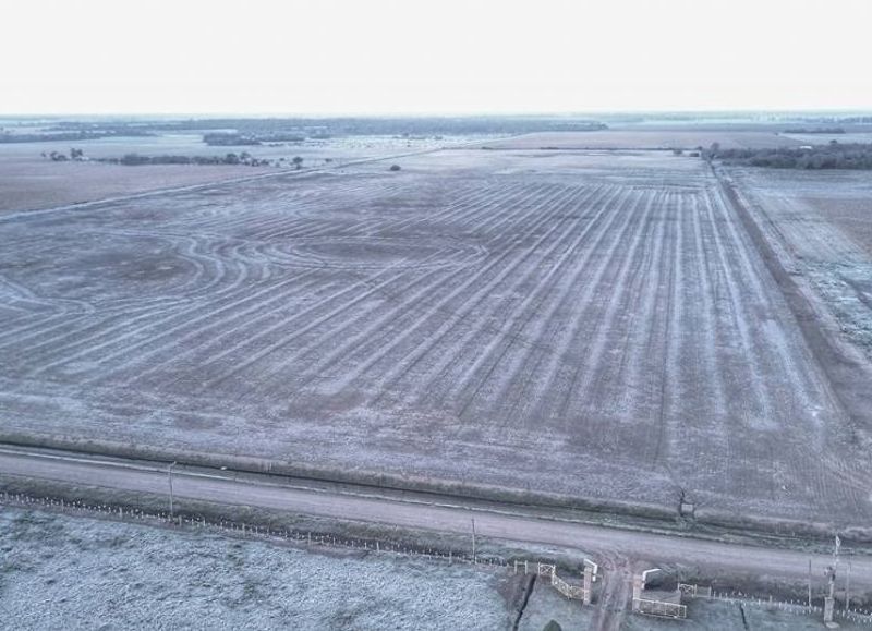 La provincia tuvo la primera helada del año