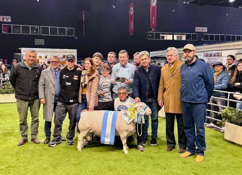 Un cordero de Gancedo es el “Gran Campeón Macho” de la Exposición Rural ...