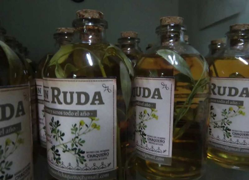 Vacuna folclórica: dónde conseguir caña con ruda